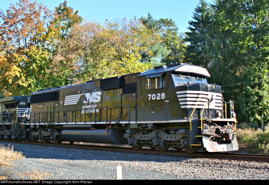 NS 7028
